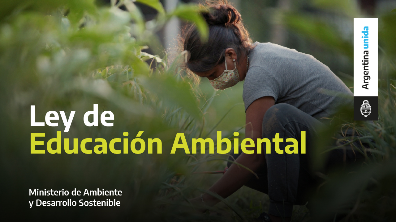 El Proyecto De Ley De Educación Ambiental Obtuvo Media Sanción En