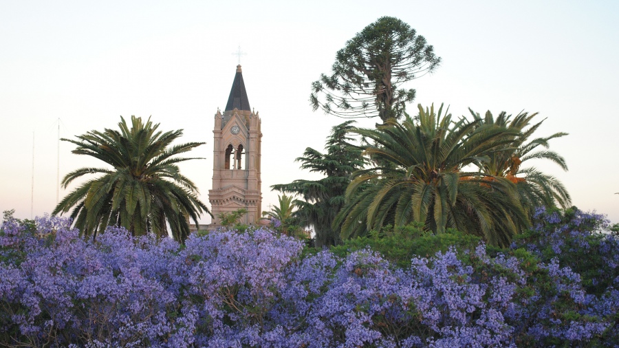 La Ruta del Delta: los destinos turísticos bonaerenses imperdibles ...