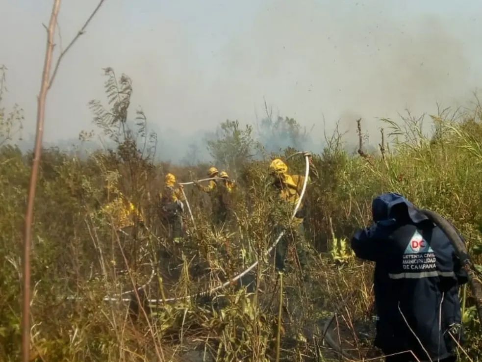 Se logró controlar el foco de incendio que quedaba en el Parque ...
