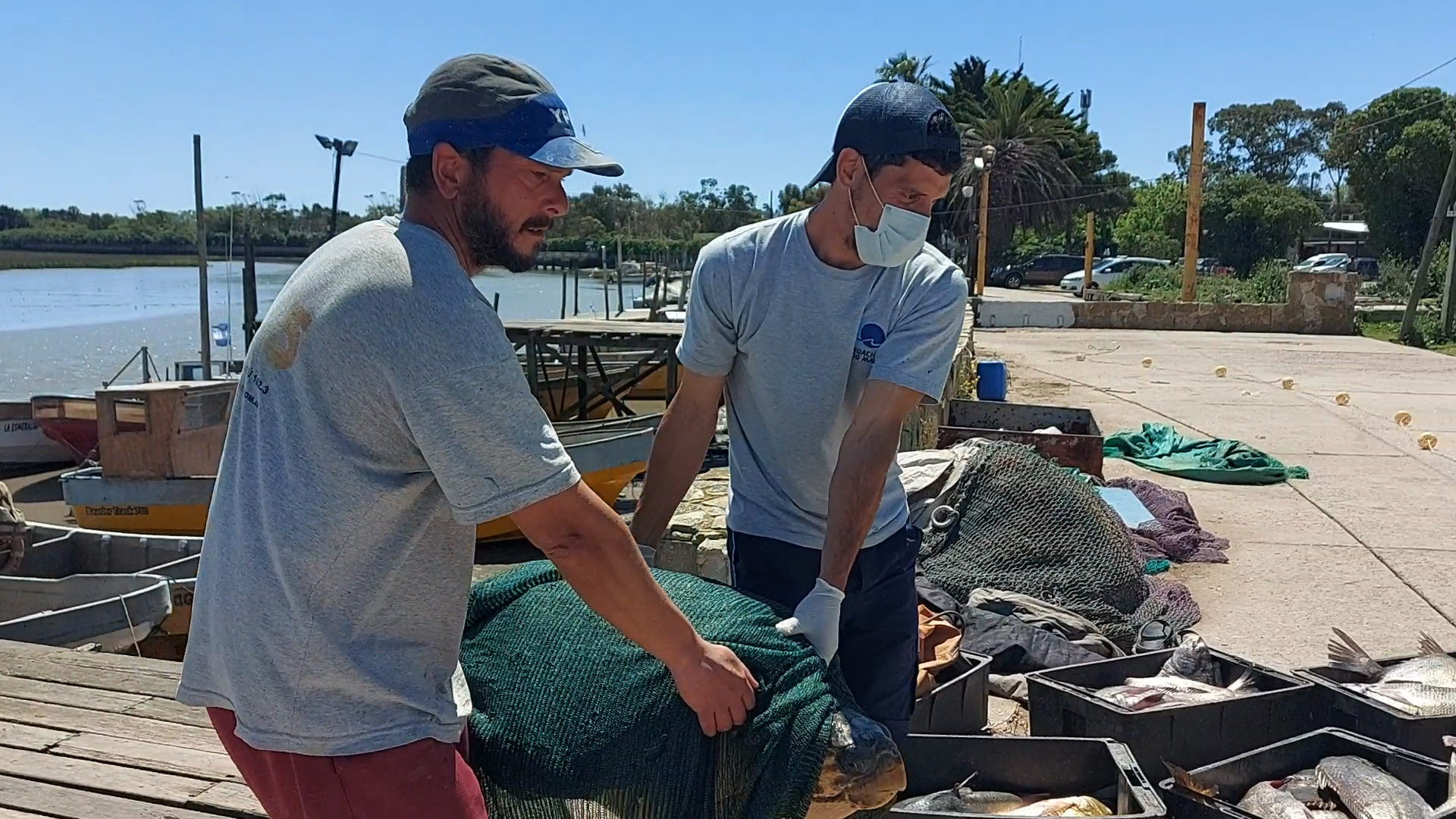 Una tortuga cabezona fue reinsertada en la costa de San Clemente del ...